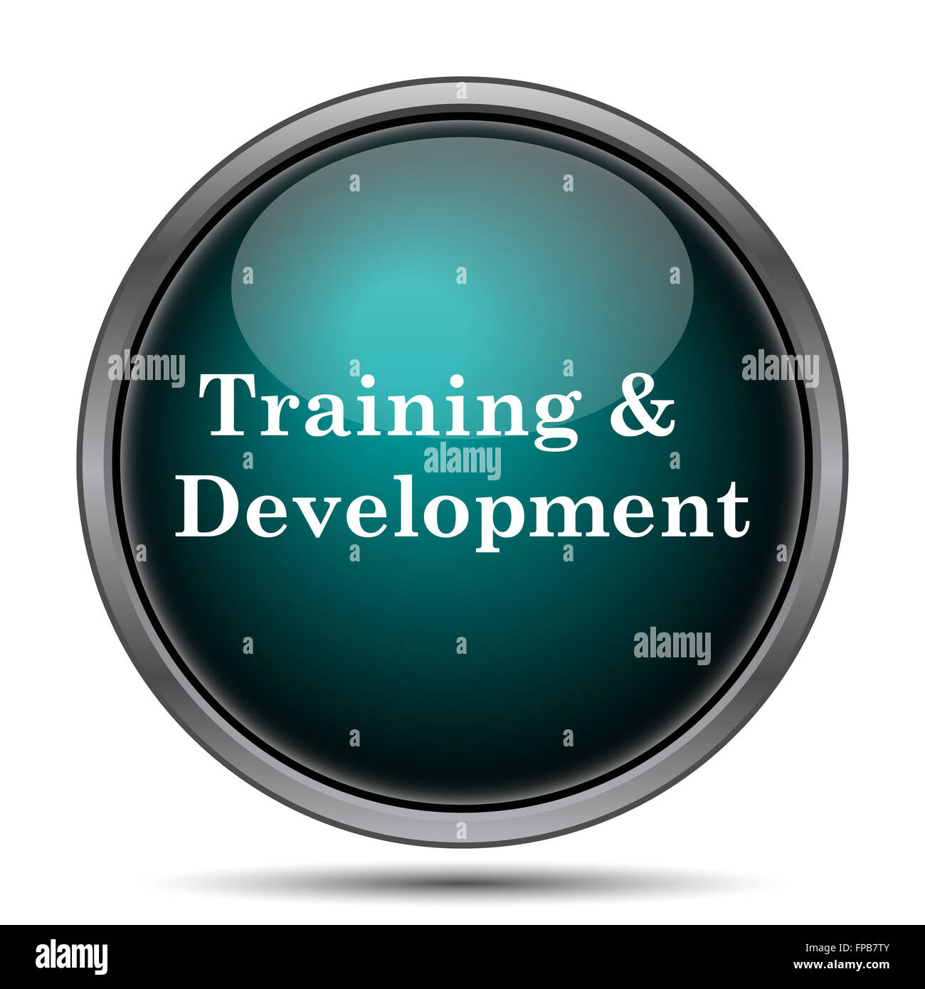 Training And Development Icon