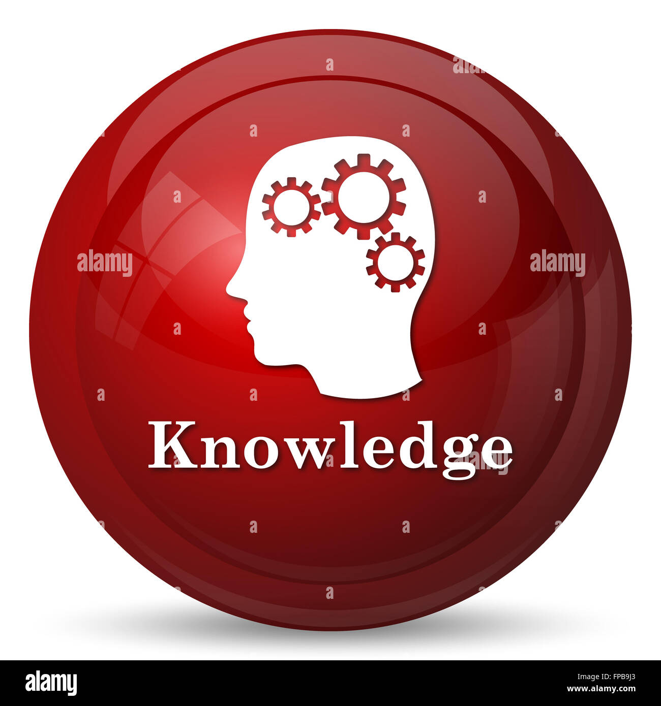 Knowledge icon. Internet button on white background Stock Photo - Alamy
