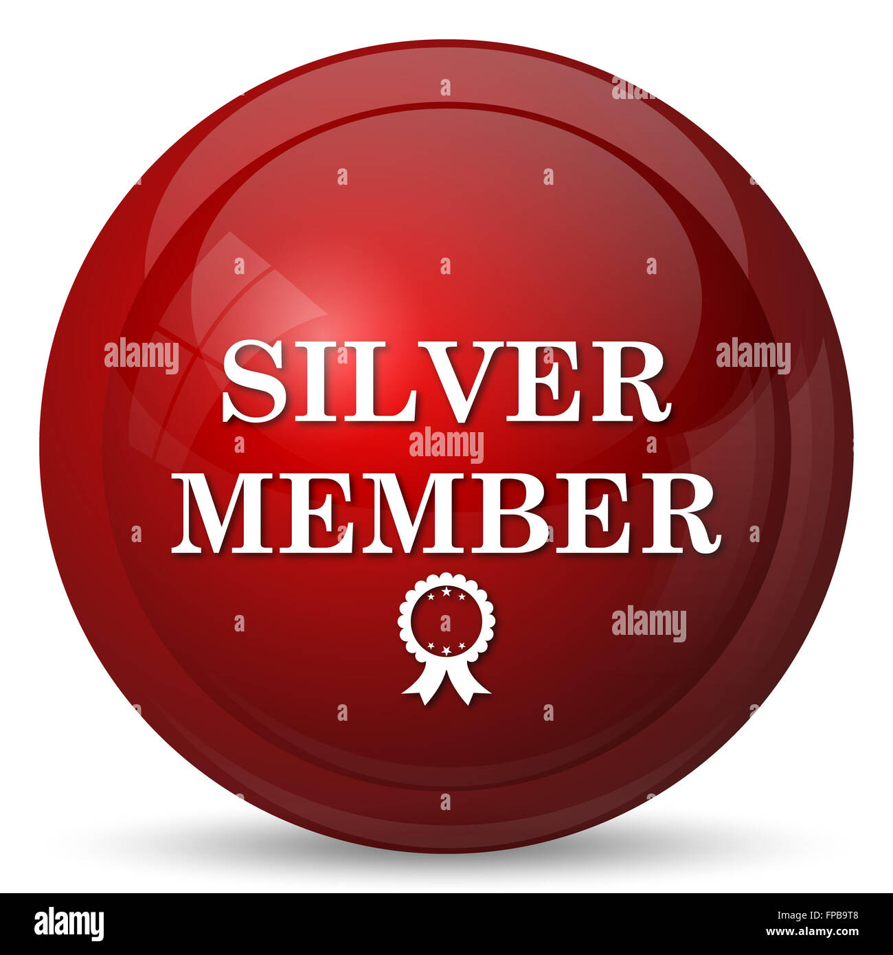 Silver member icon. Internet button on white background Stock Photo - Alamy