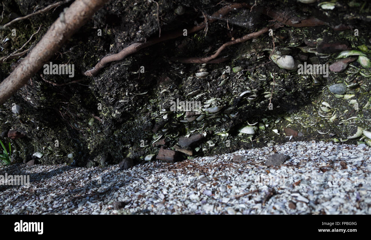 Shell midden british columbia hi-res stock photography and images - Alamy