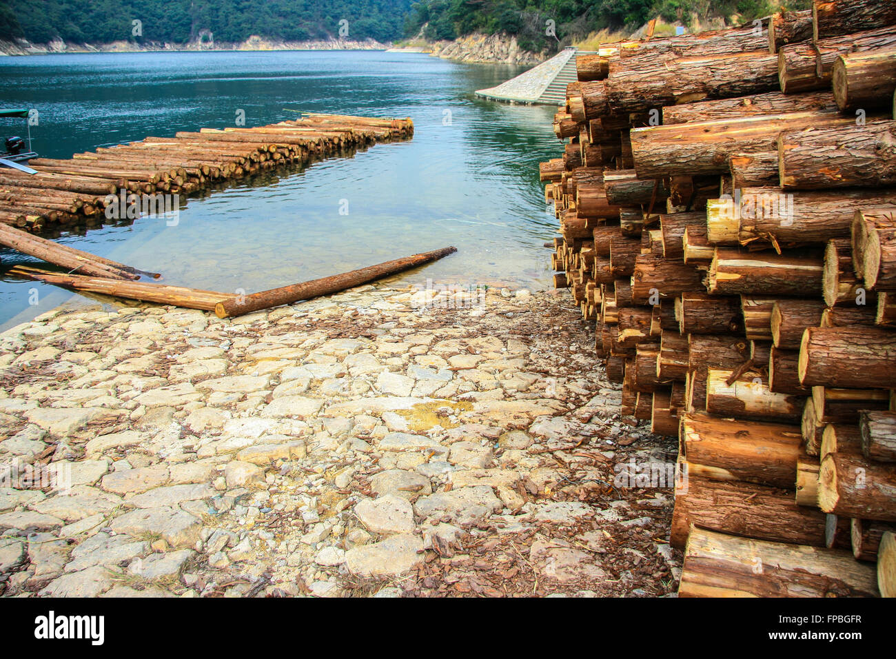 timber on the river bank Stock Photo - Alamy
