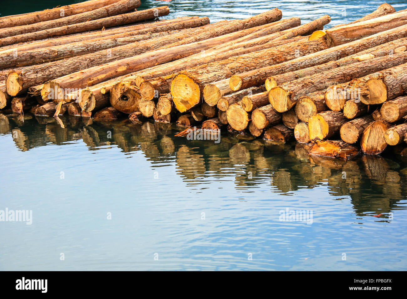 timber on the river Stock Photo - Alamy