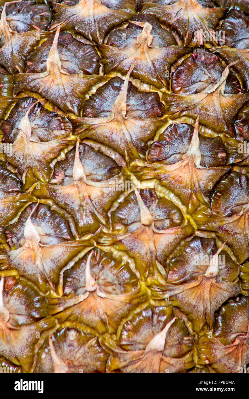 Pineapple - full frame macro textured background Stock Photo - Alamy