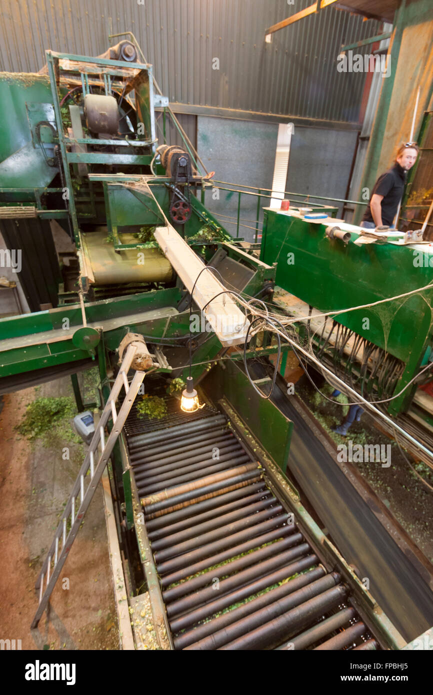 Hillside Brewery, Gloucestershire, craft ale brewery. Brewery staff ...