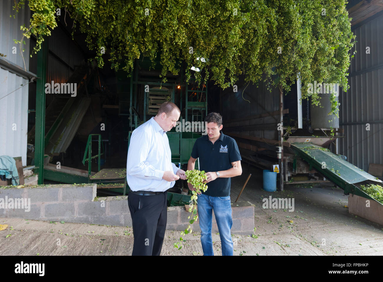 Hillside Brewery, Gloucestershire, craft ale brewery. Brewery staff ...