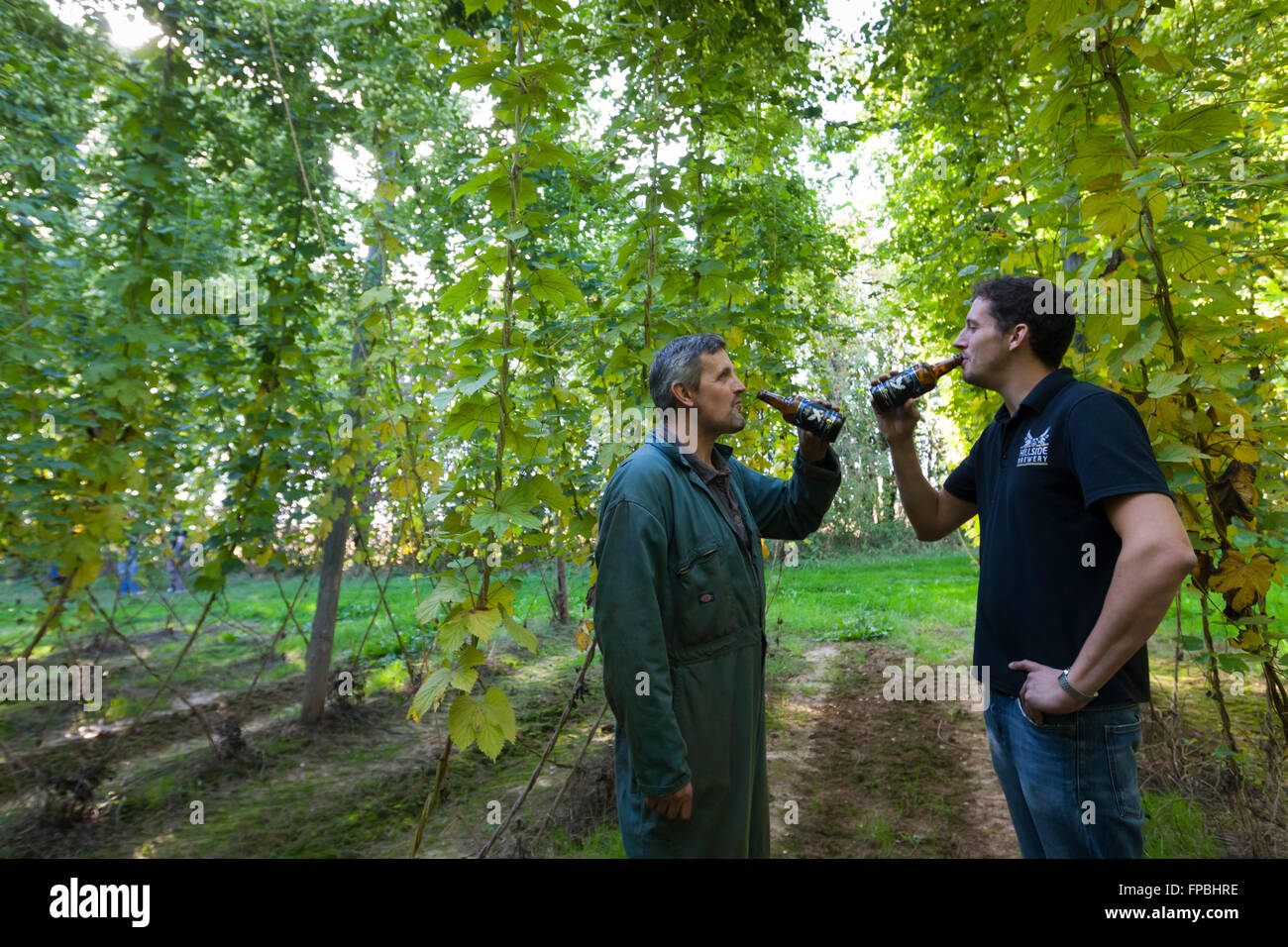 Hillside Brewery, Gloucestershire, craft ale brewery. Brewery staff ...