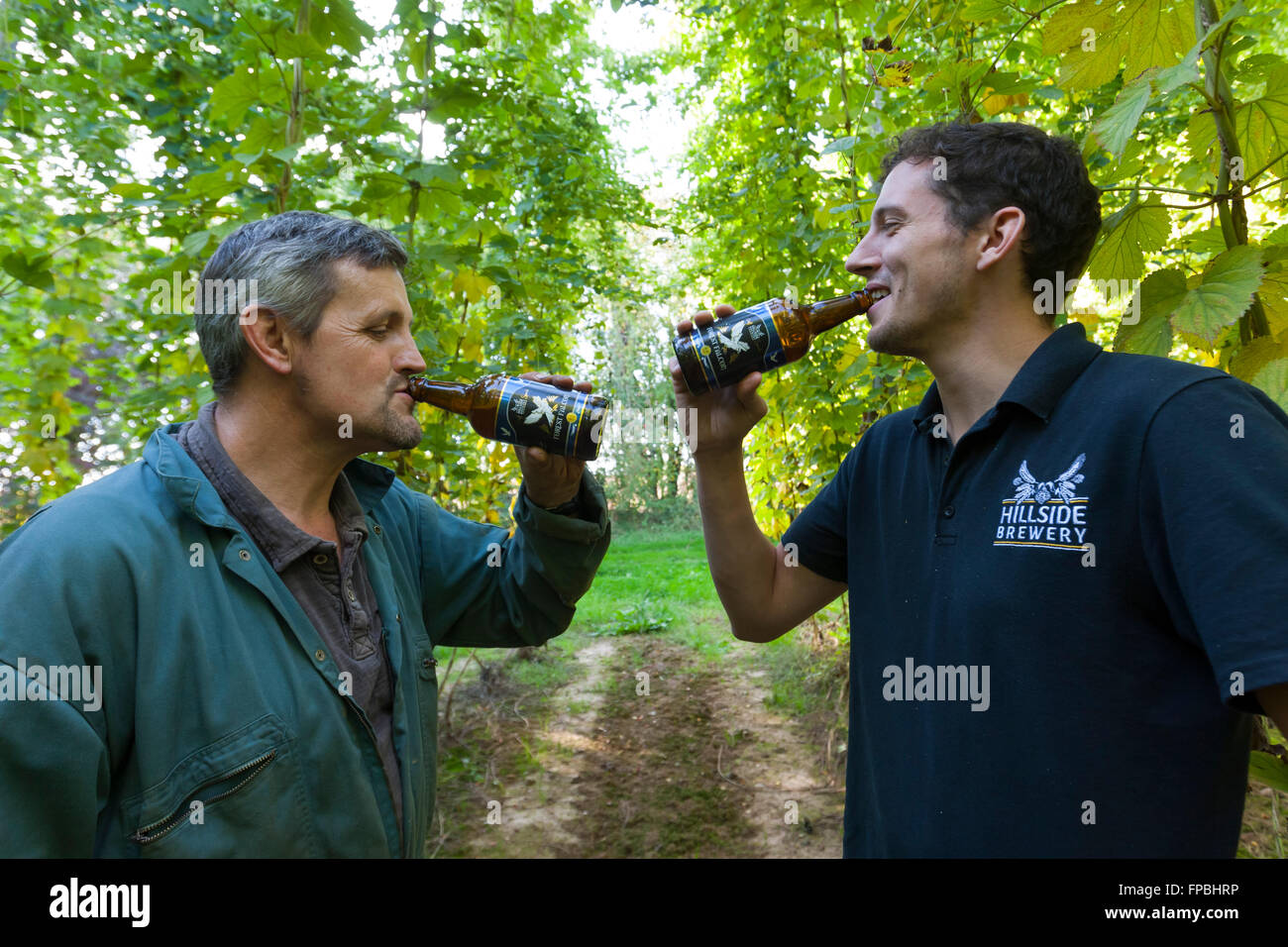 Hillside Brewery, Gloucestershire, craft ale brewery. Brewery staff ...