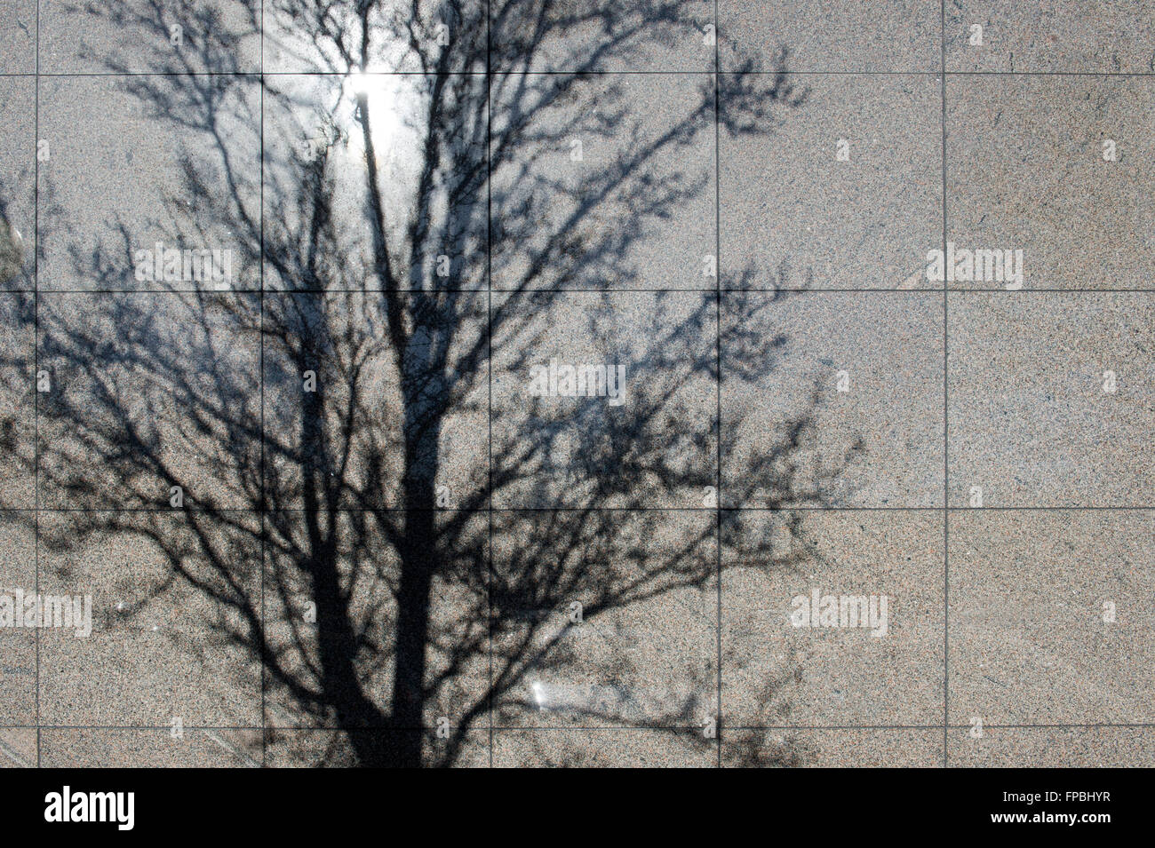 Tree shadow on wall hi-res stock photography and images - Alamy