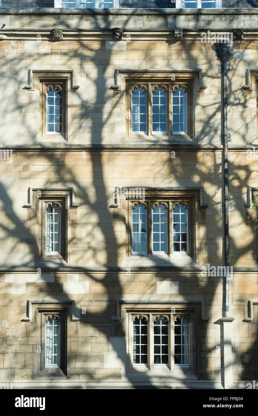 Tree shadow on the exterior wall of a college in Oxford. England Stock ...