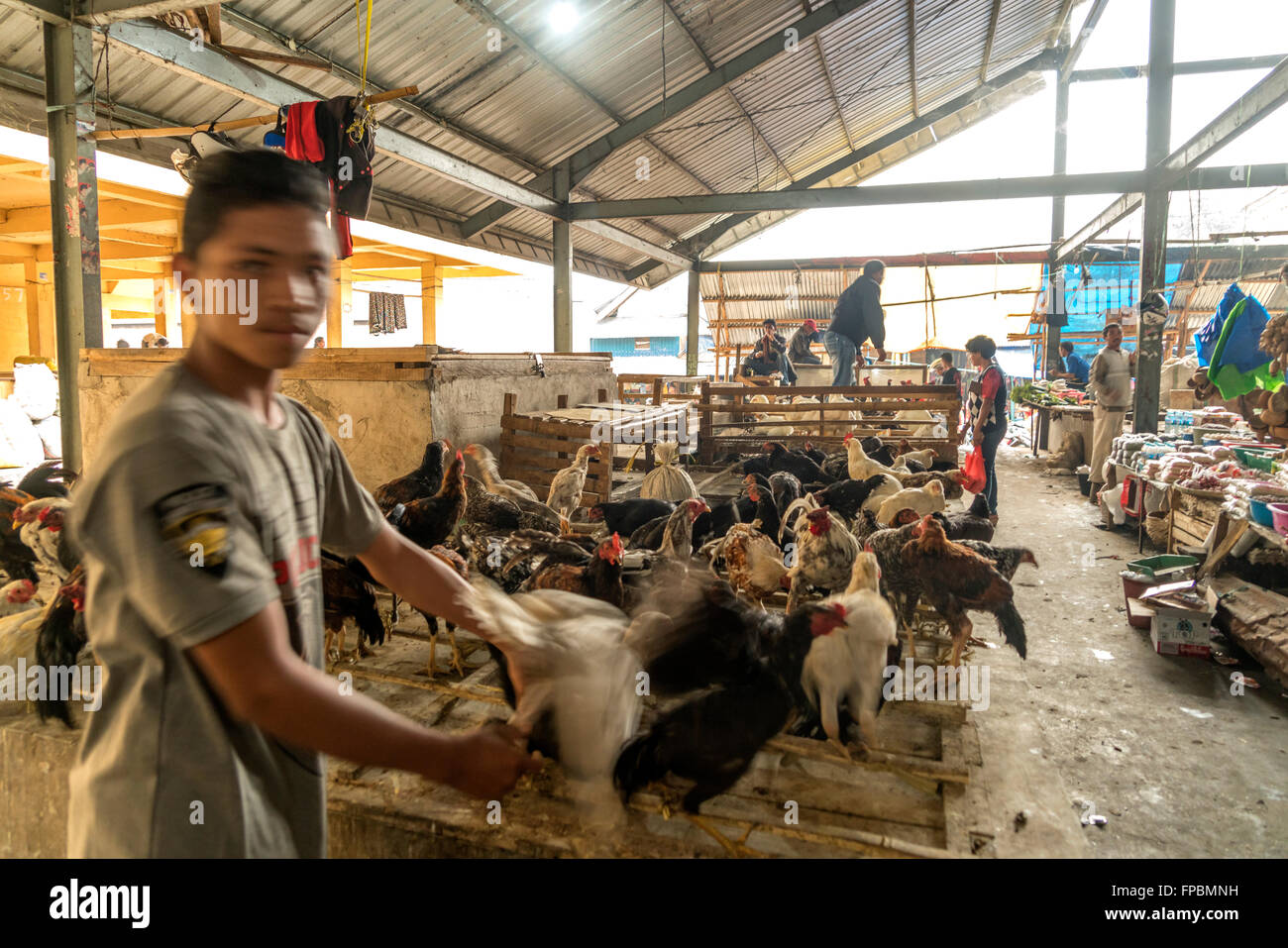 Chicken market hi-res stock photography and images - Alamy