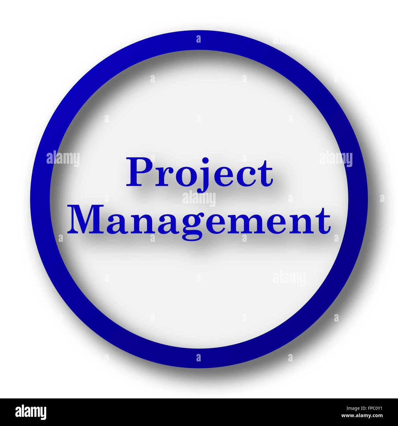 Project management icon. Blue internet button on white background Stock ...