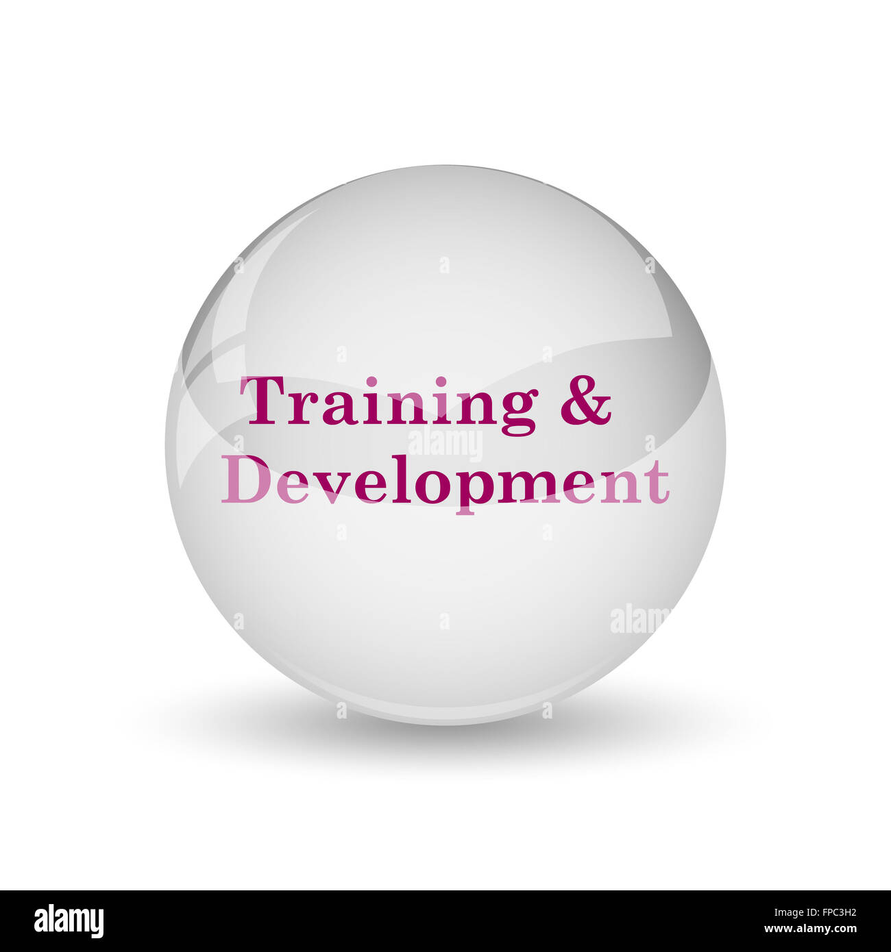 Training and development icon. Internet button on white background ...