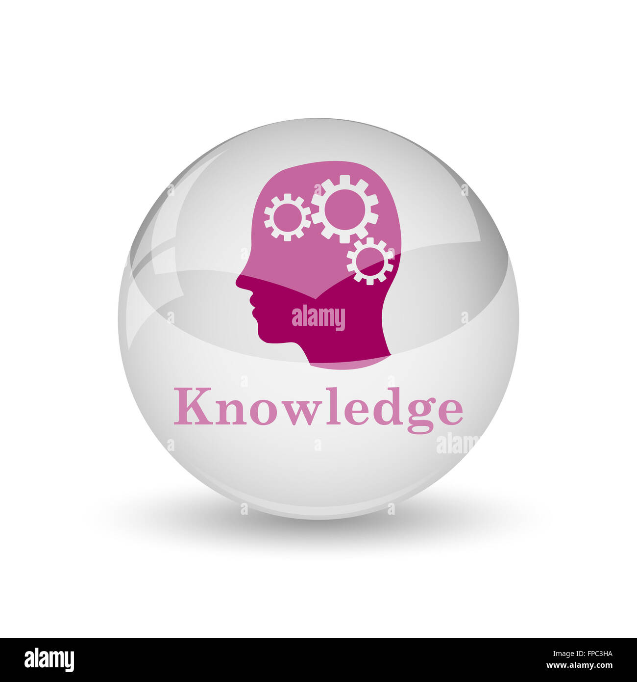 Knowledge icon. Internet button on white background Stock Photo - Alamy