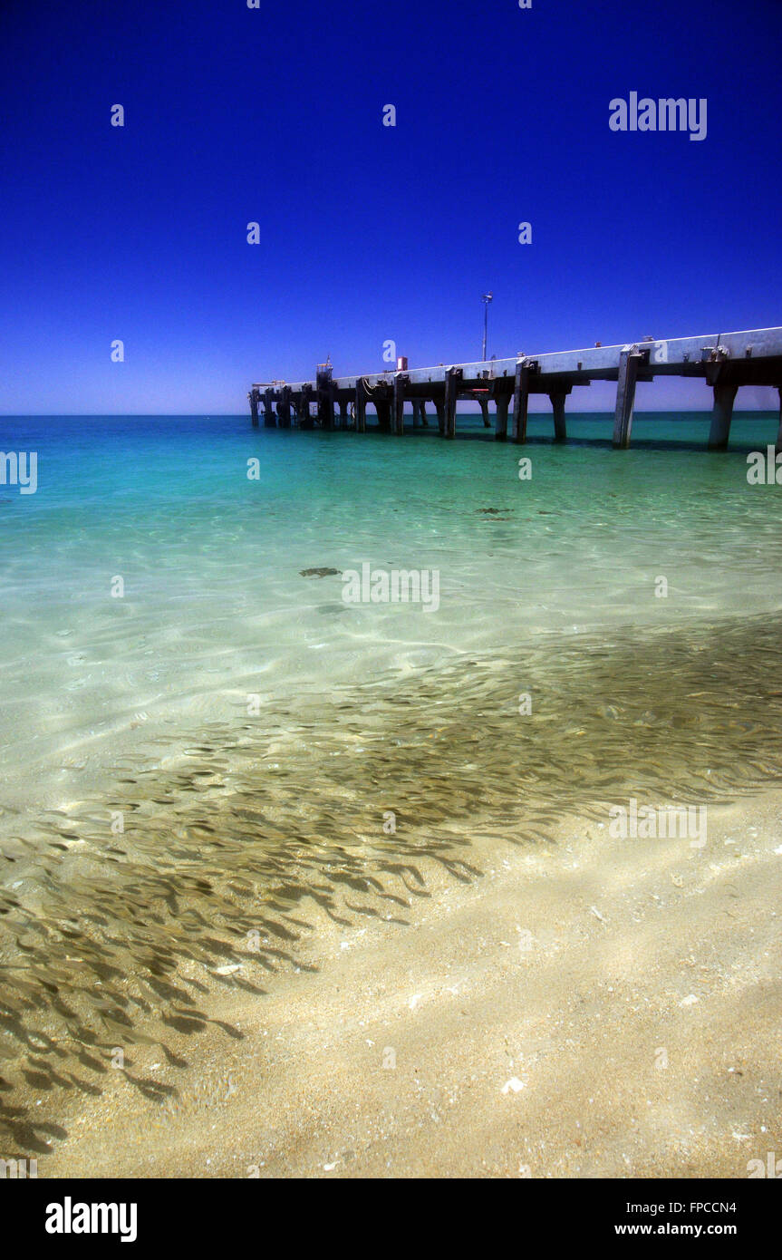 Baitfish schooling near old jetty, near Onslow, Pilbara region, Western ...