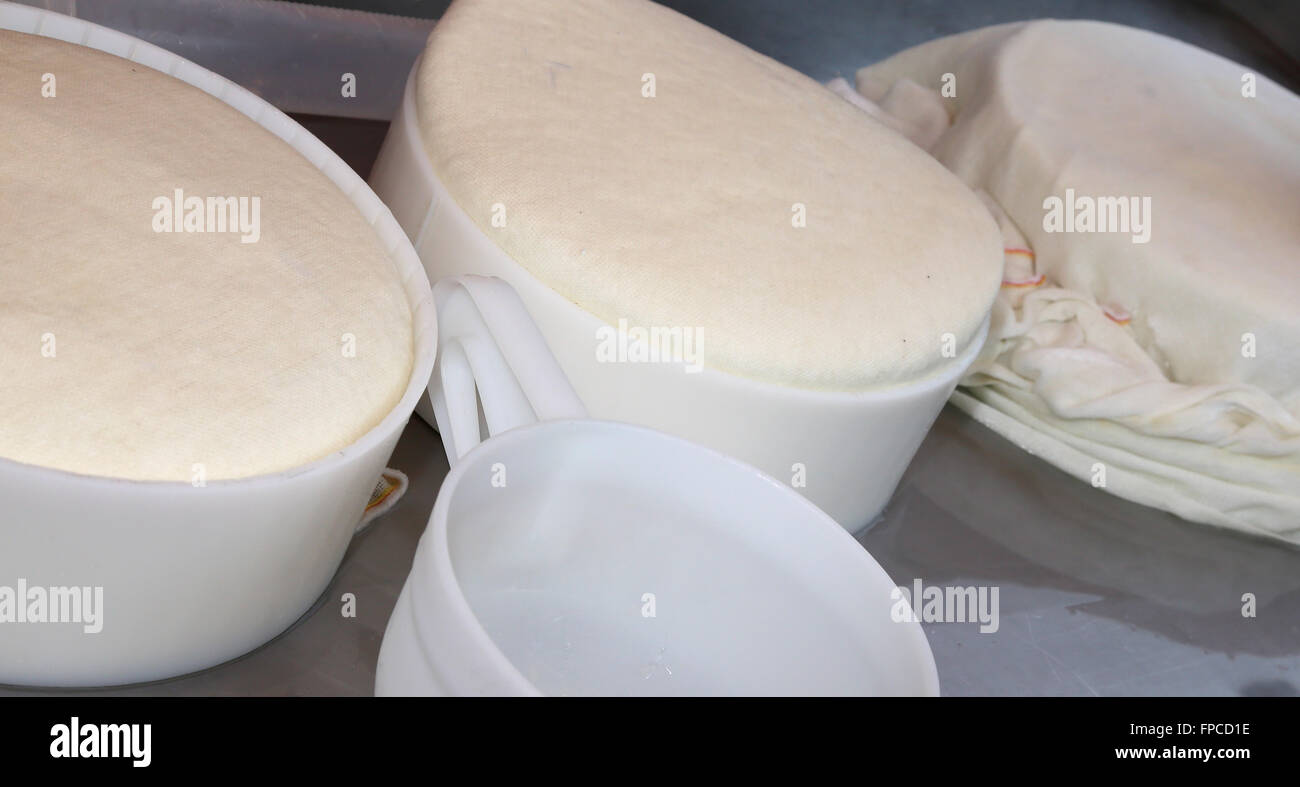genuine fresh cheese just made in the modern dairy Stock Photo - Alamy