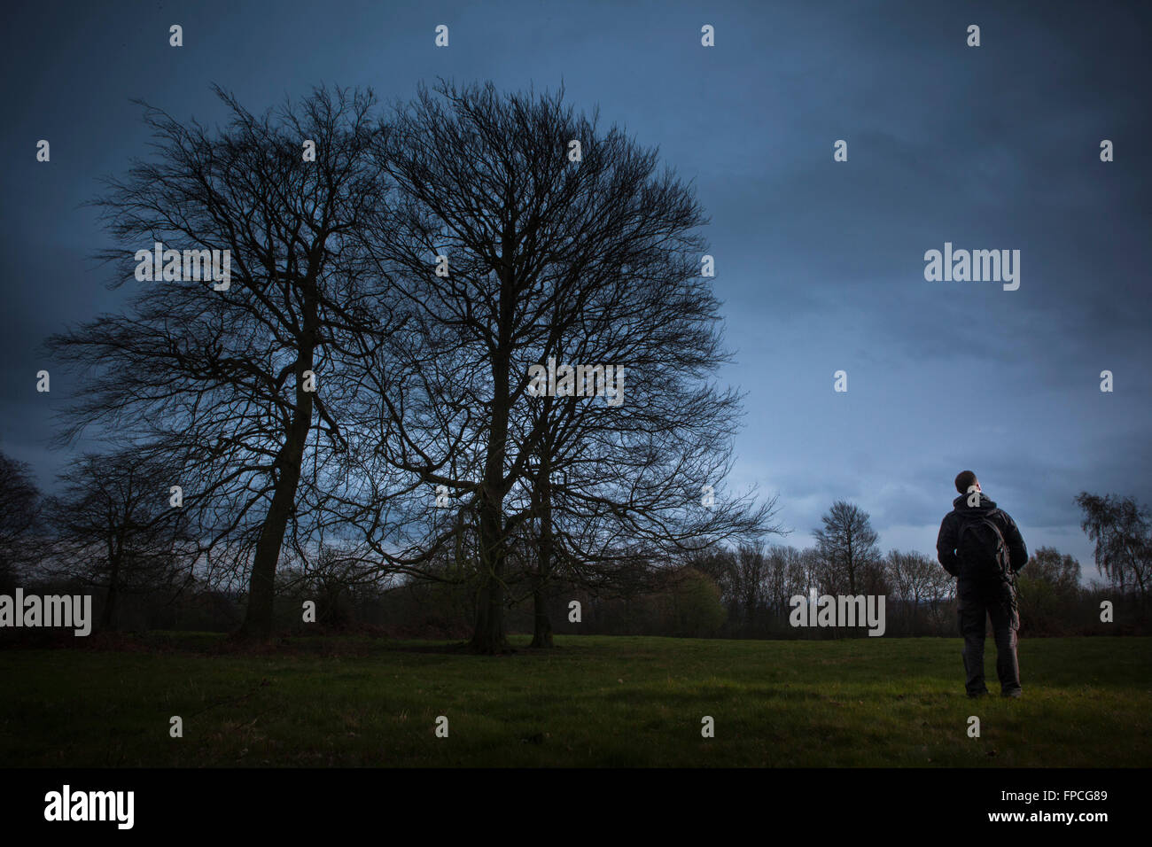 A walk through the National Trust area known as "The Holies" in ...