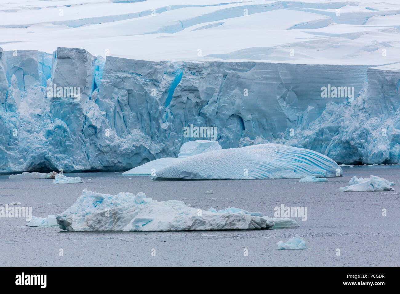 Closeup of the toe of a glacier in the Antarctic Peninsula, Antarctica ...