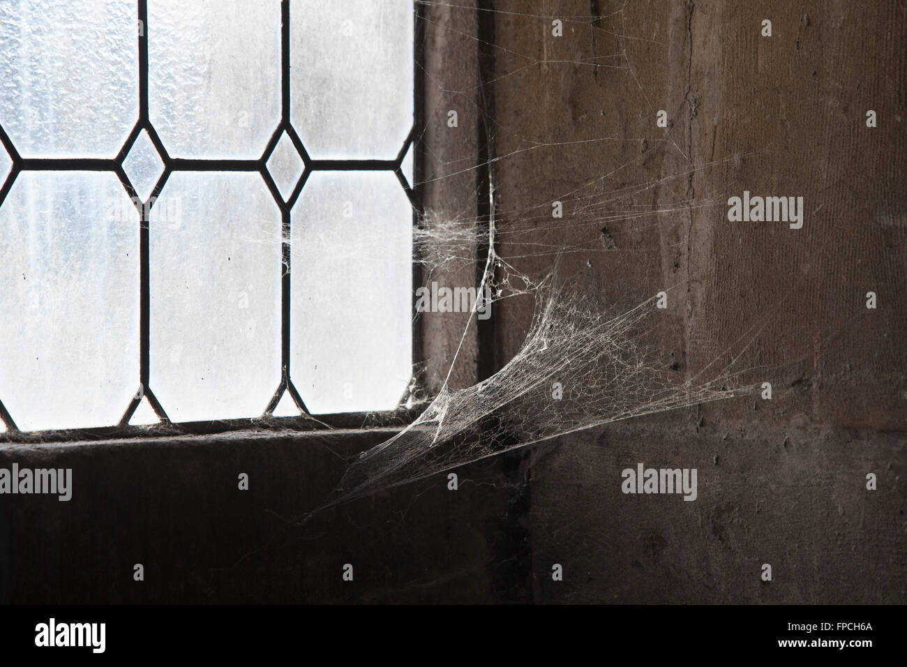 Spiders webs lit by the light streaming through a leaded window in a ...