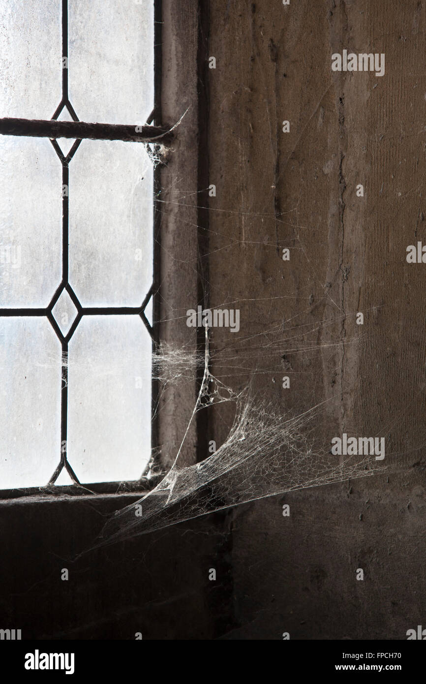 Spiders webs lit by the light streaming through a leaded window in a ...