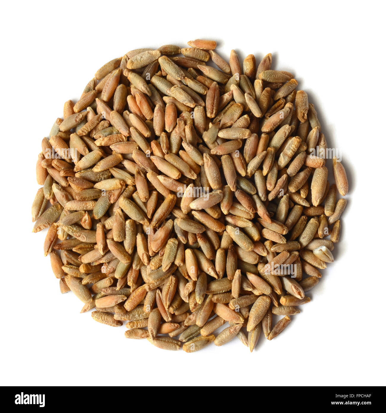 Uncooked rye grain seeds close up shot Stock Photo - Alamy
