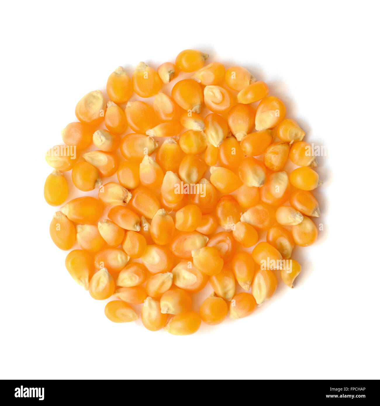 Uncooked corn grains close up shot Stock Photo - Alamy