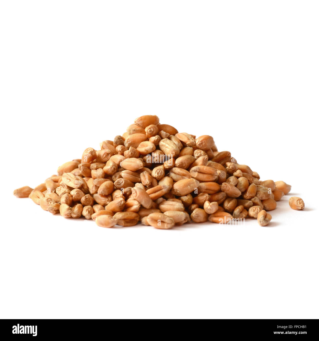 Uncooked wheat grain seeds close up shot Stock Photo - Alamy