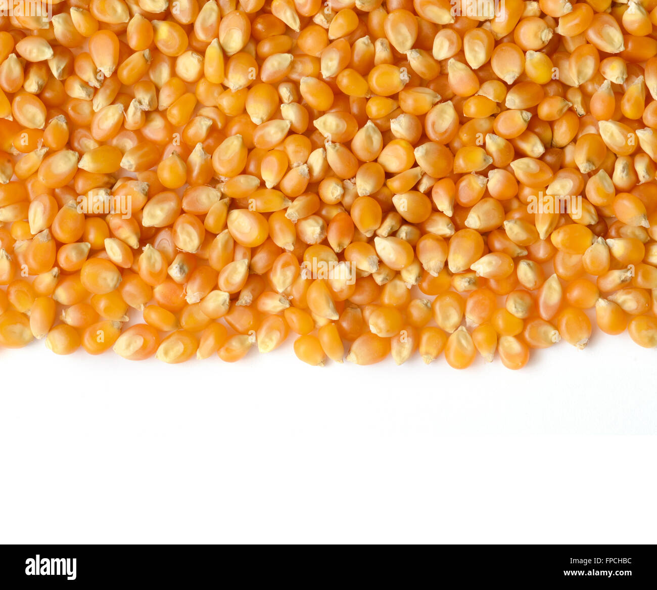 Uncooked corn grains close up shot Stock Photo - Alamy