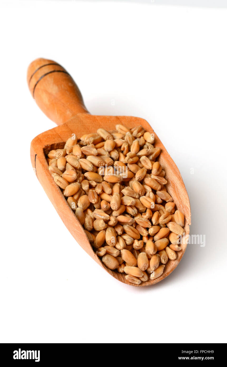 Uncooked wheat grain seeds close up shot Stock Photo - Alamy