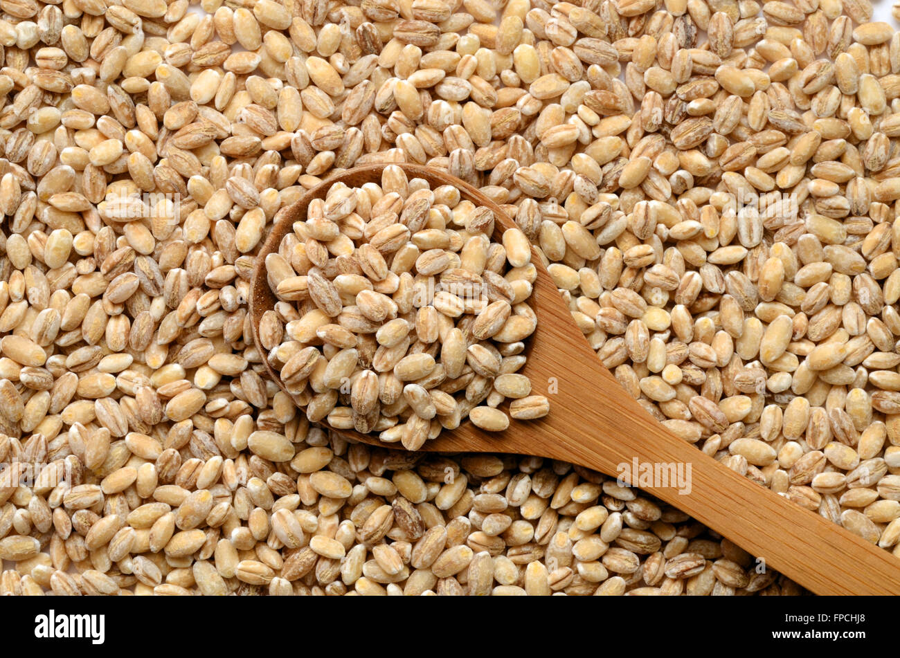 Uncooked Barley