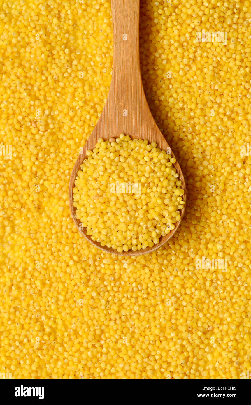 raw organic millet seeds shot with a macro lens Stock Photo - Alamy