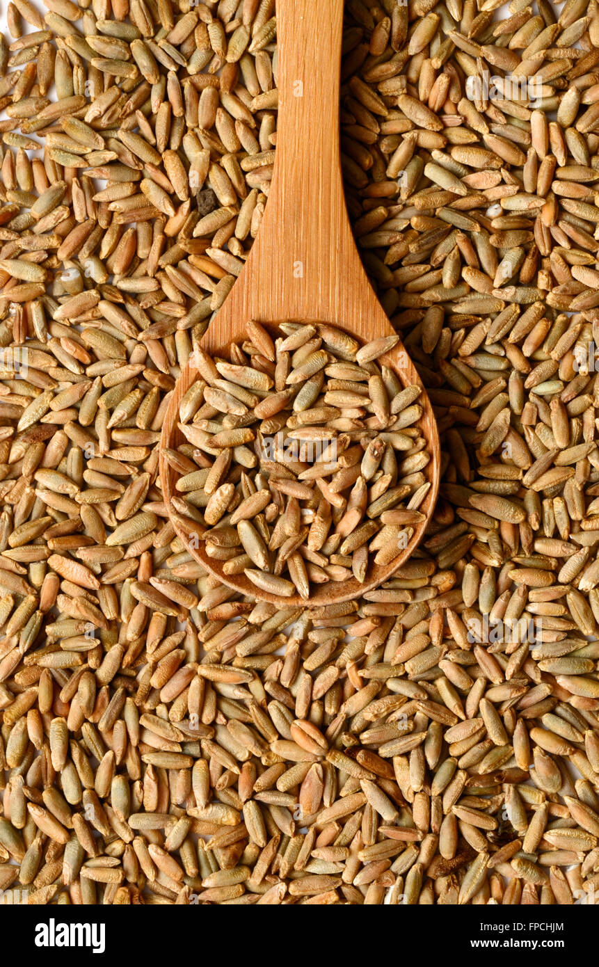 Uncooked rye grain seeds close up shot Stock Photo - Alamy