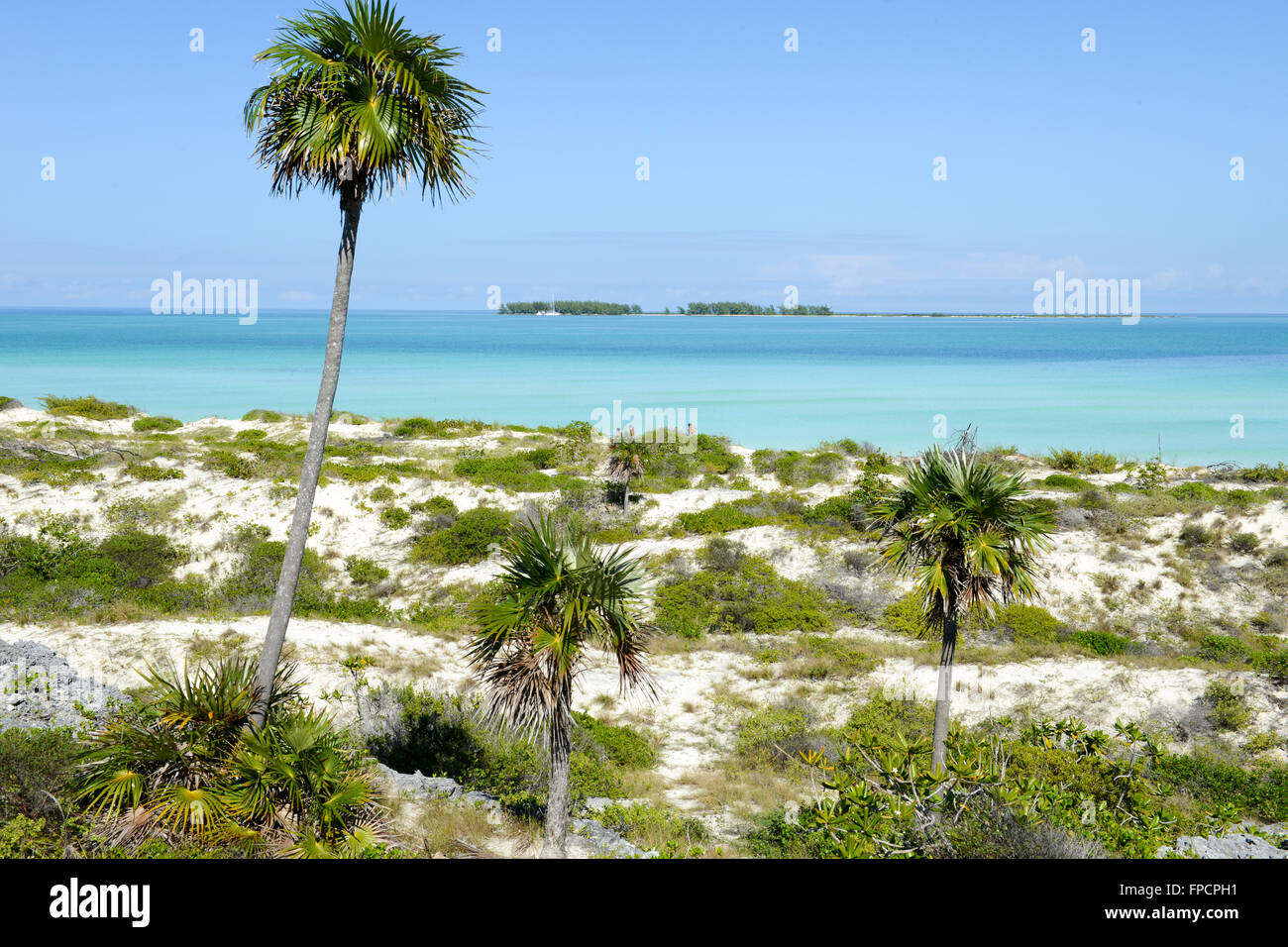 Cayo guillermo cuba 16 january hi-res stock photography and images - Alamy