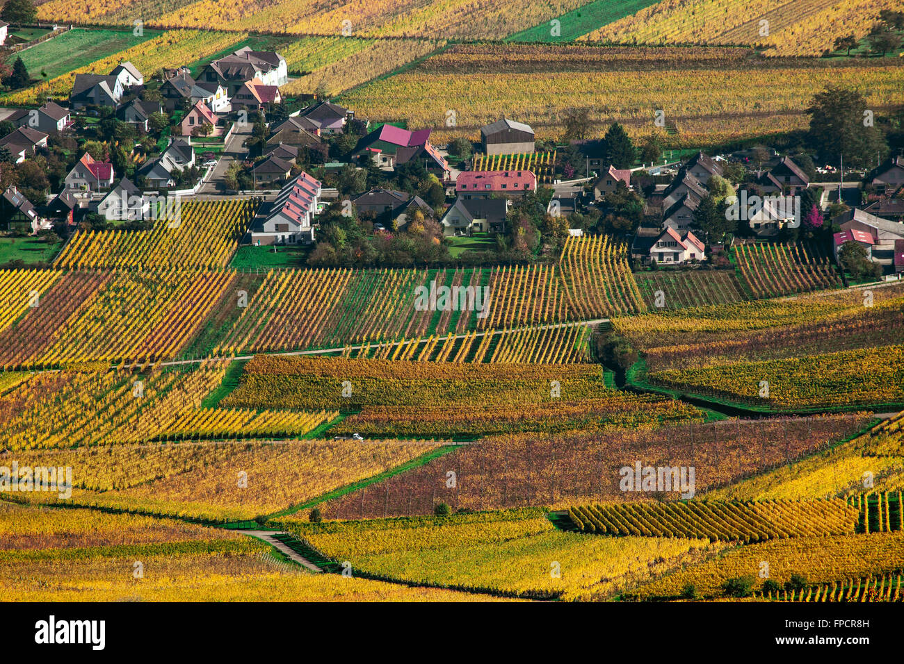 Aerial view of vineyards Stock Photo - Alamy
