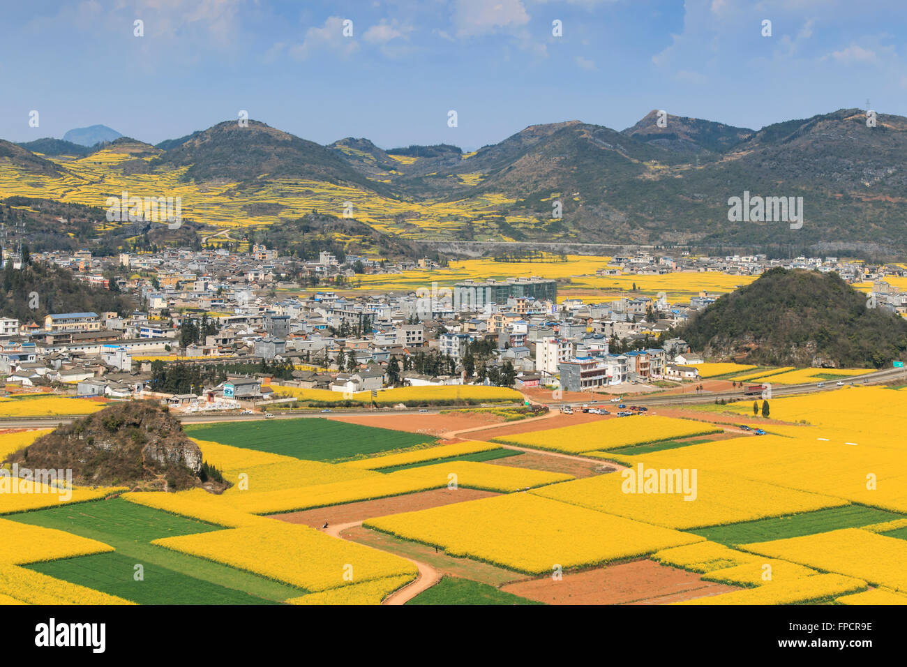 Rapeseed flowers of Luoping in Yunnan China Stock Photo - Alamy