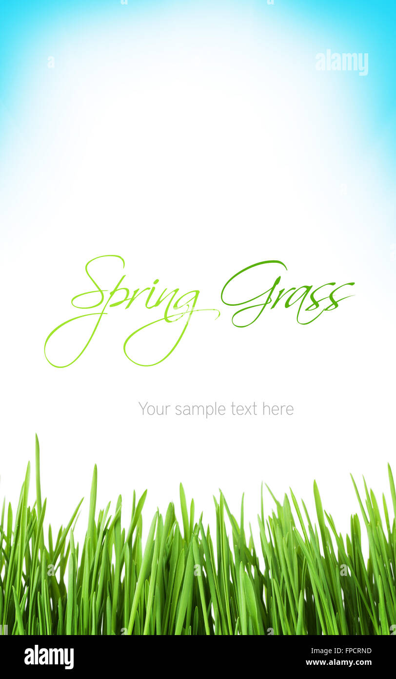 Abstract sunny spring background with grass and sky Stock Photo - Alamy