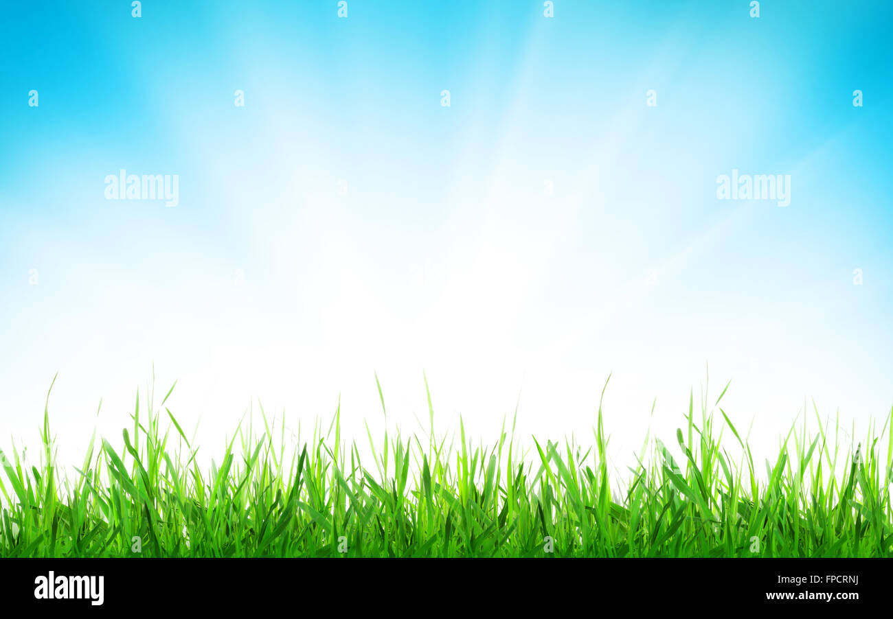 Abstract sunny spring background with grass and sunlight Stock Photo ...
