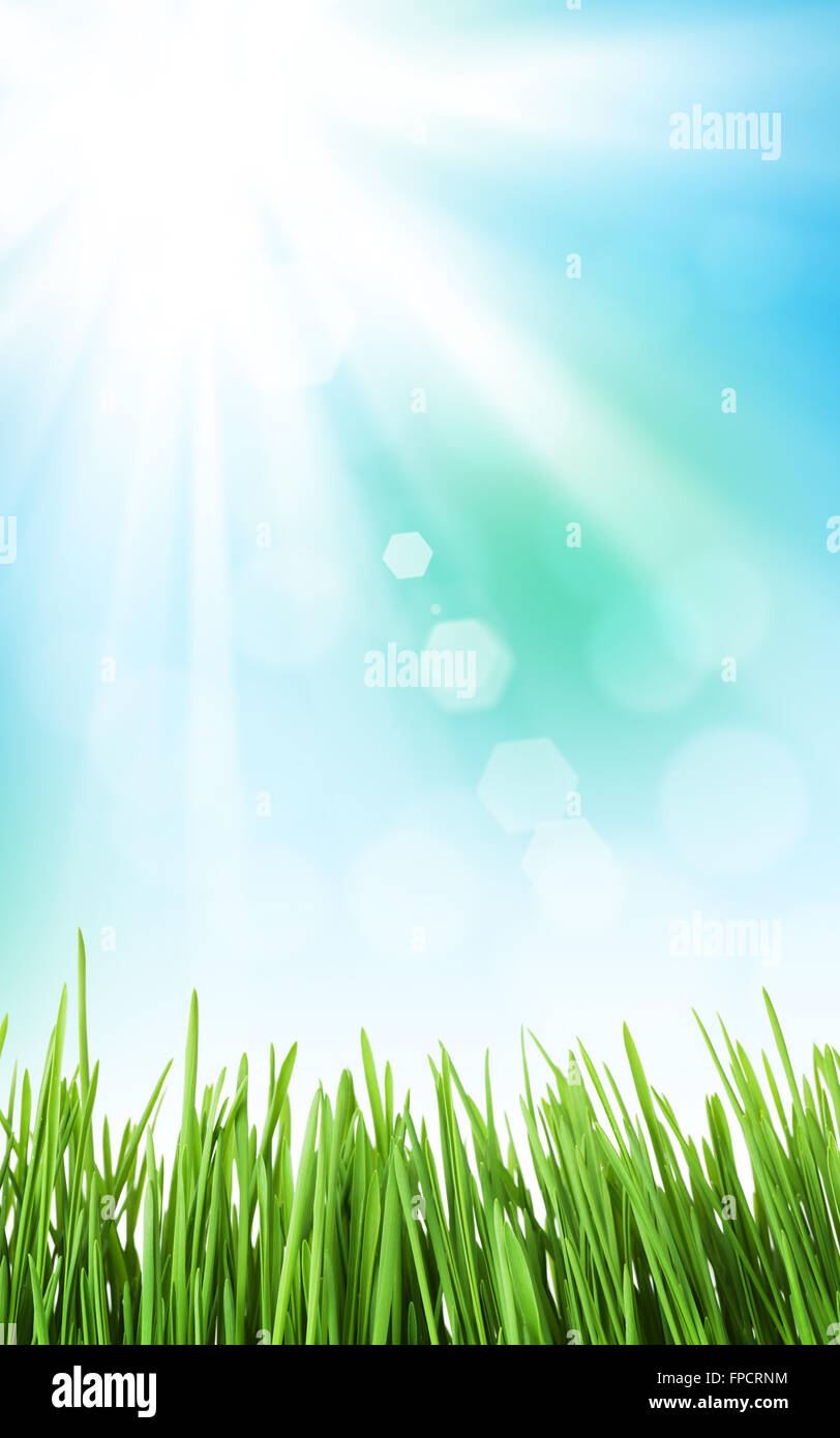 Abstract sunny spring background with grass and sky Stock Photo - Alamy