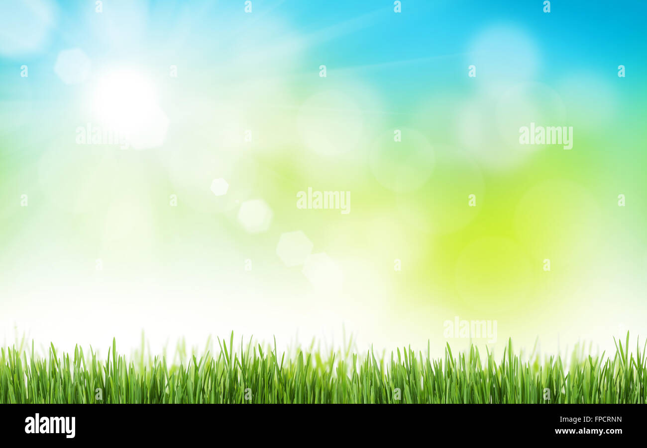 Abstract sunny spring background with grass and sky Stock Photo - Alamy