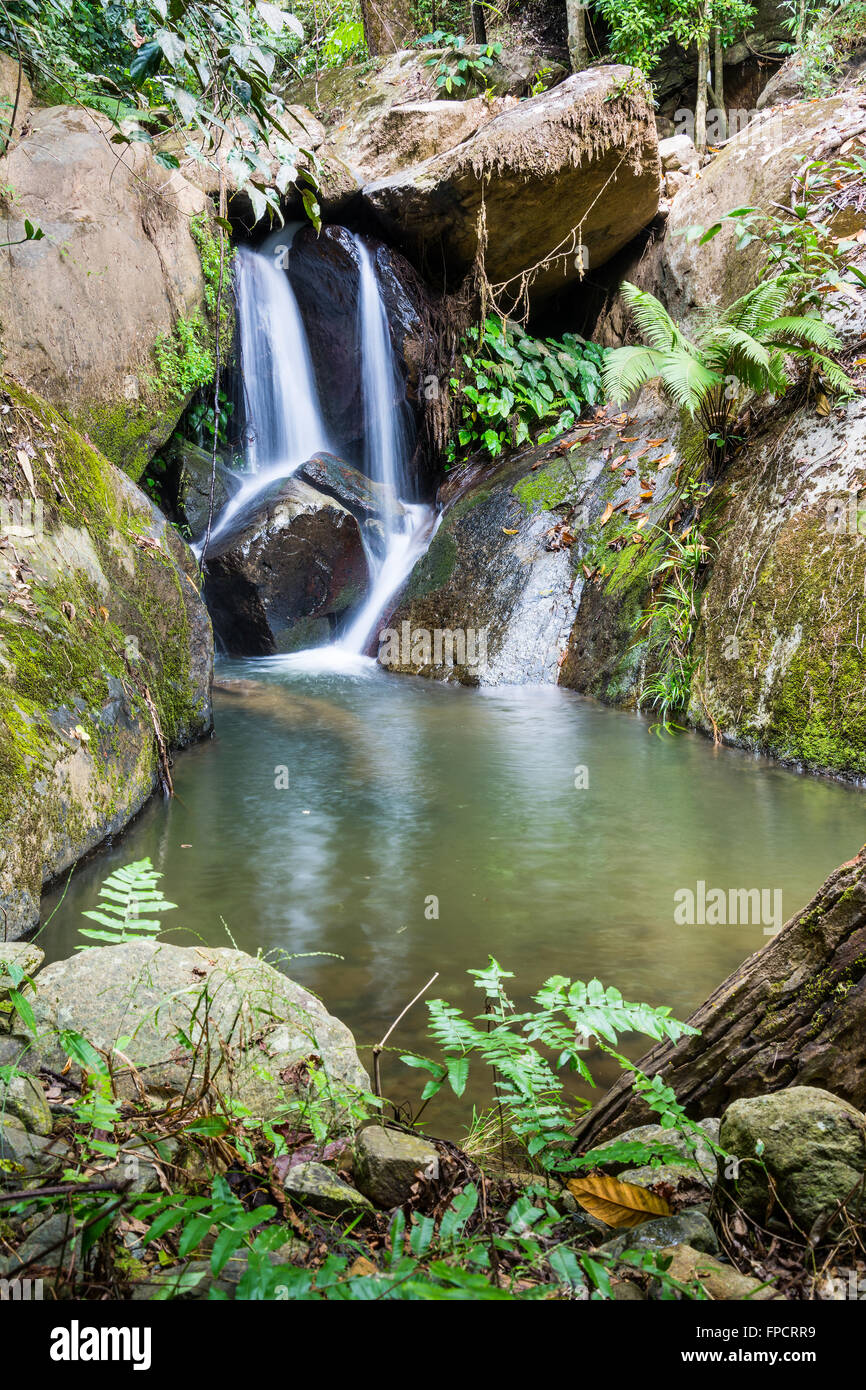 waterfall from ravine in the rainforest Stock Photo - Alamy