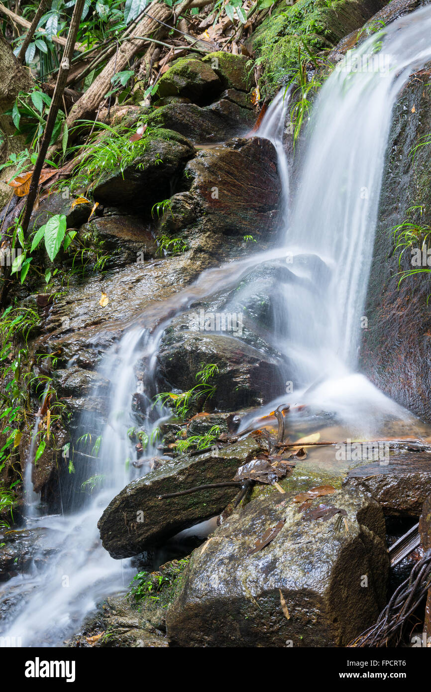 waterfall from ravine in the rainforest Stock Photo - Alamy