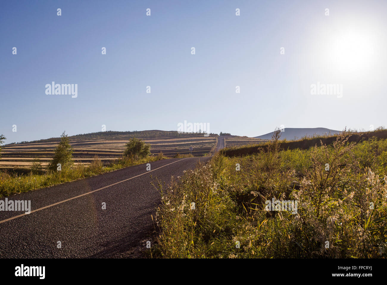 Grassland scenery in Hebei province, China Stock Photo - Alamy