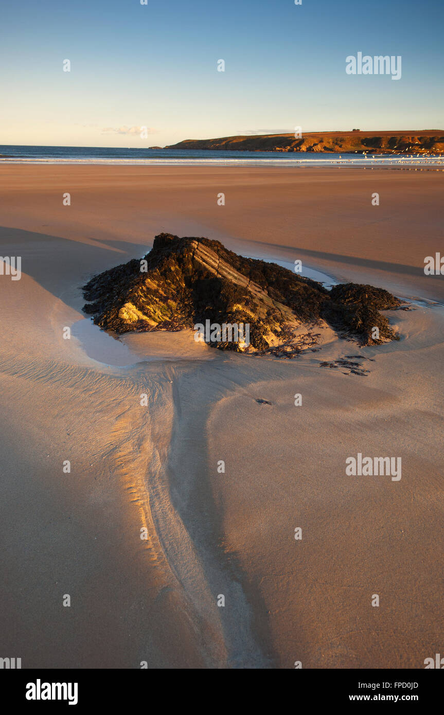 Sandend beach at sunset - Aberdeenshire, Scotland Stock Photo - Alamy