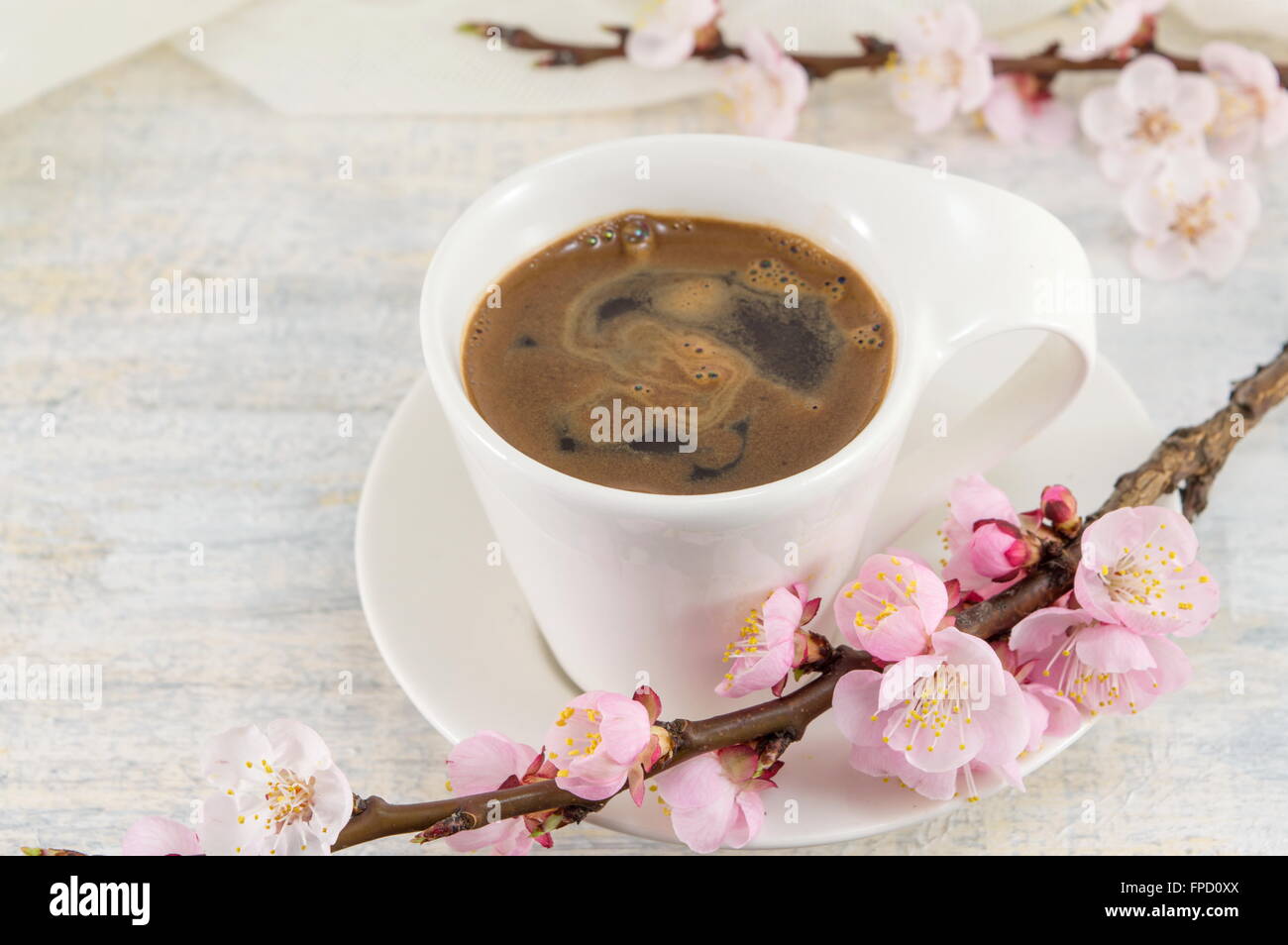 Coffee cherry closeup hi-res stock photography and images - Alamy