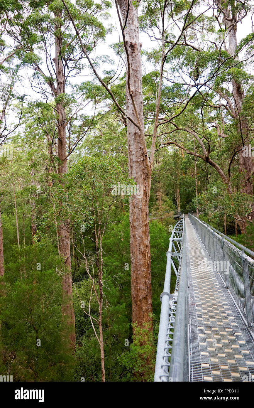 Scotsdale road australia hi-res stock photography and images - Alamy