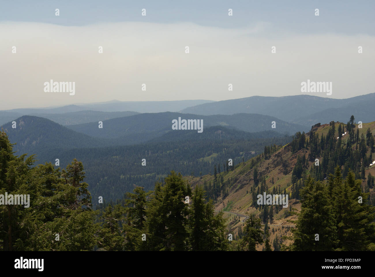 View of Shasta mountain slopes, California, USA, beautiful forest ...