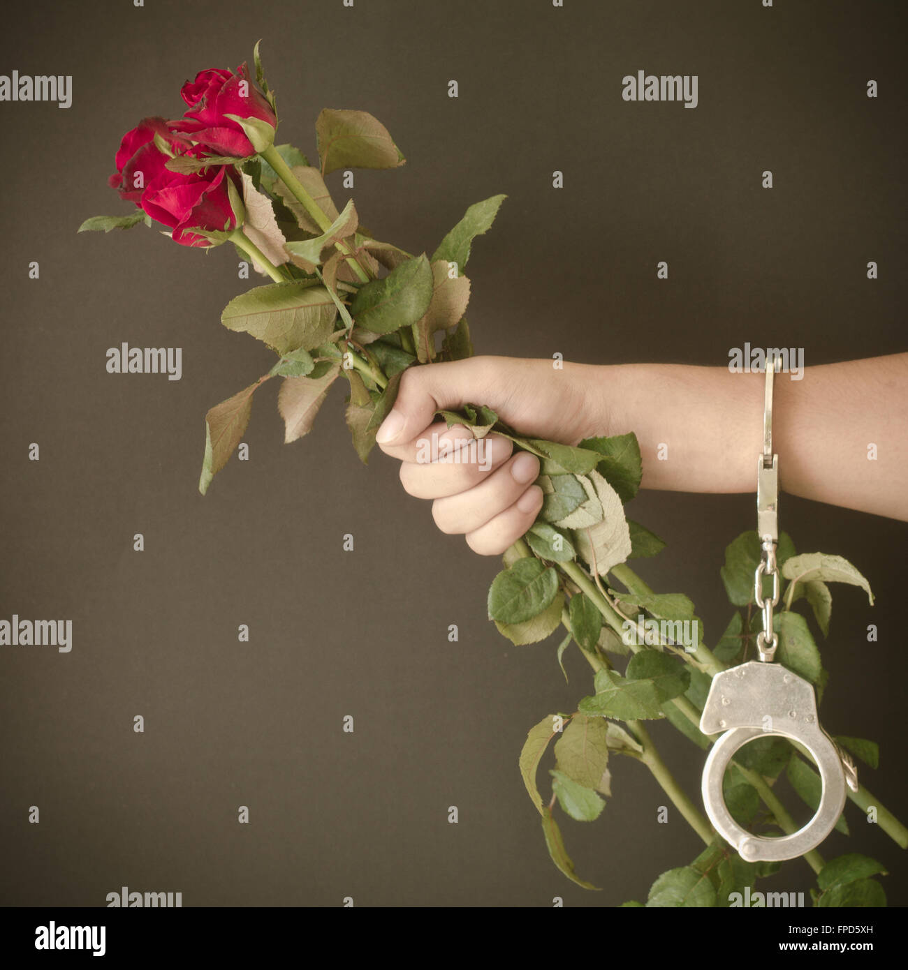 red rose in hand with handcuffs Stock Photo - Alamy