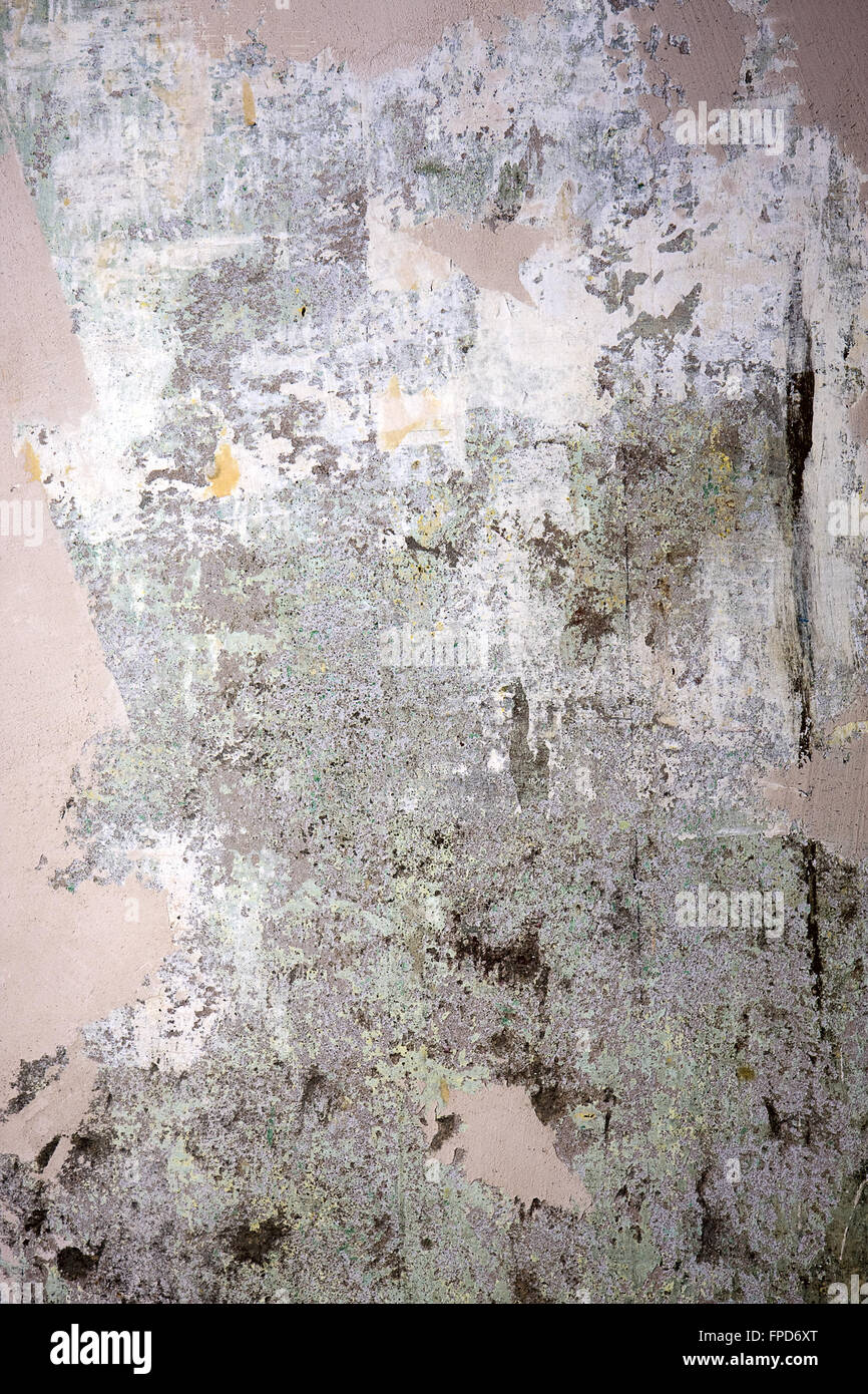 old dirty wall with traces of torn wallpaper and plastered with blade ...