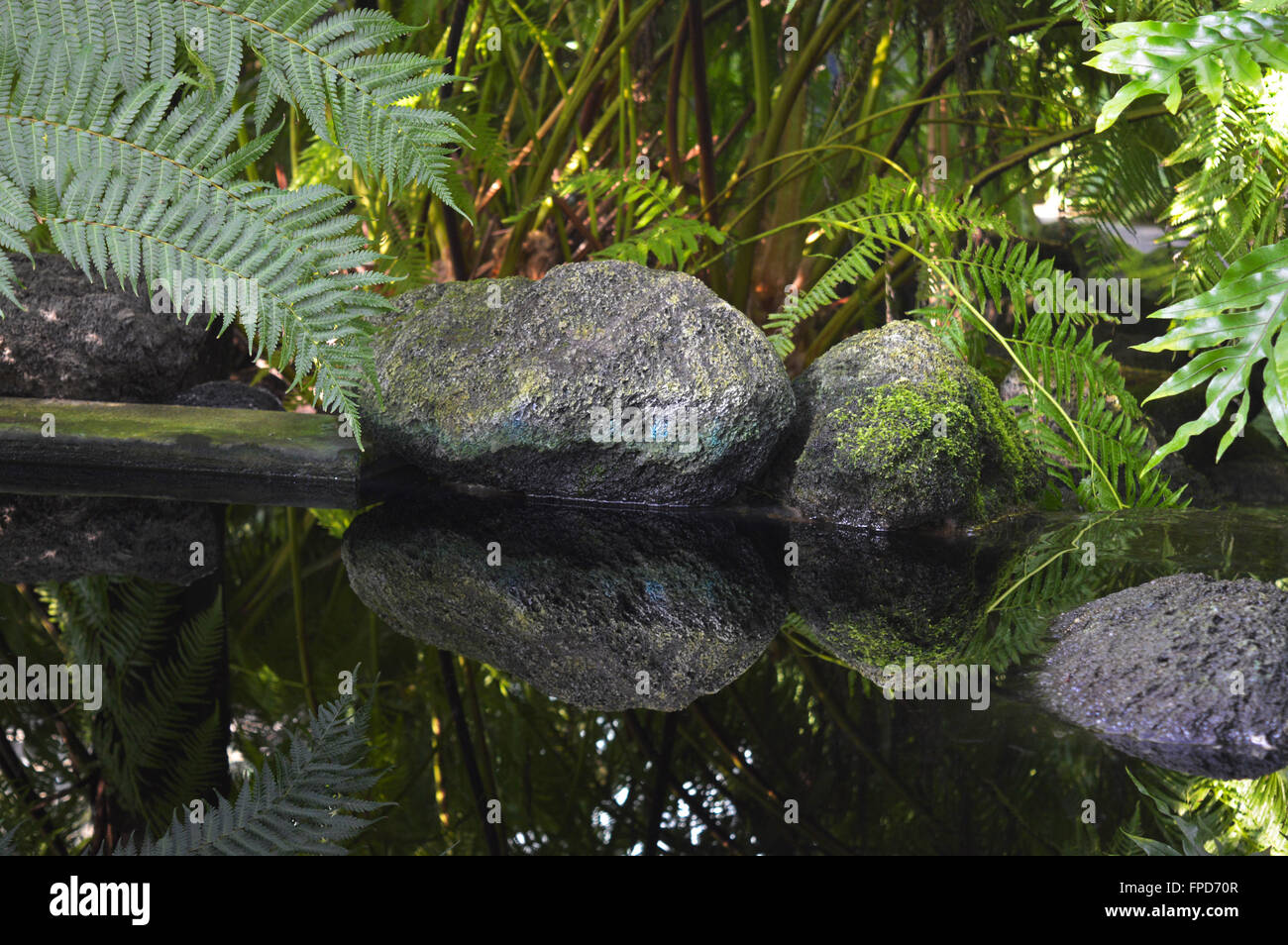 Water reflection surface hi-res stock photography and images - Alamy