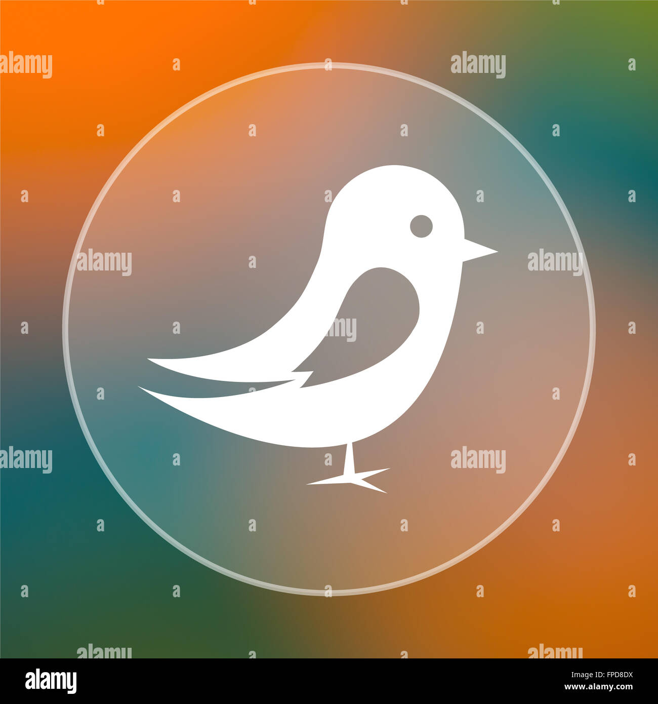 Bird icon. Internet button on colored background Stock Photo - Alamy