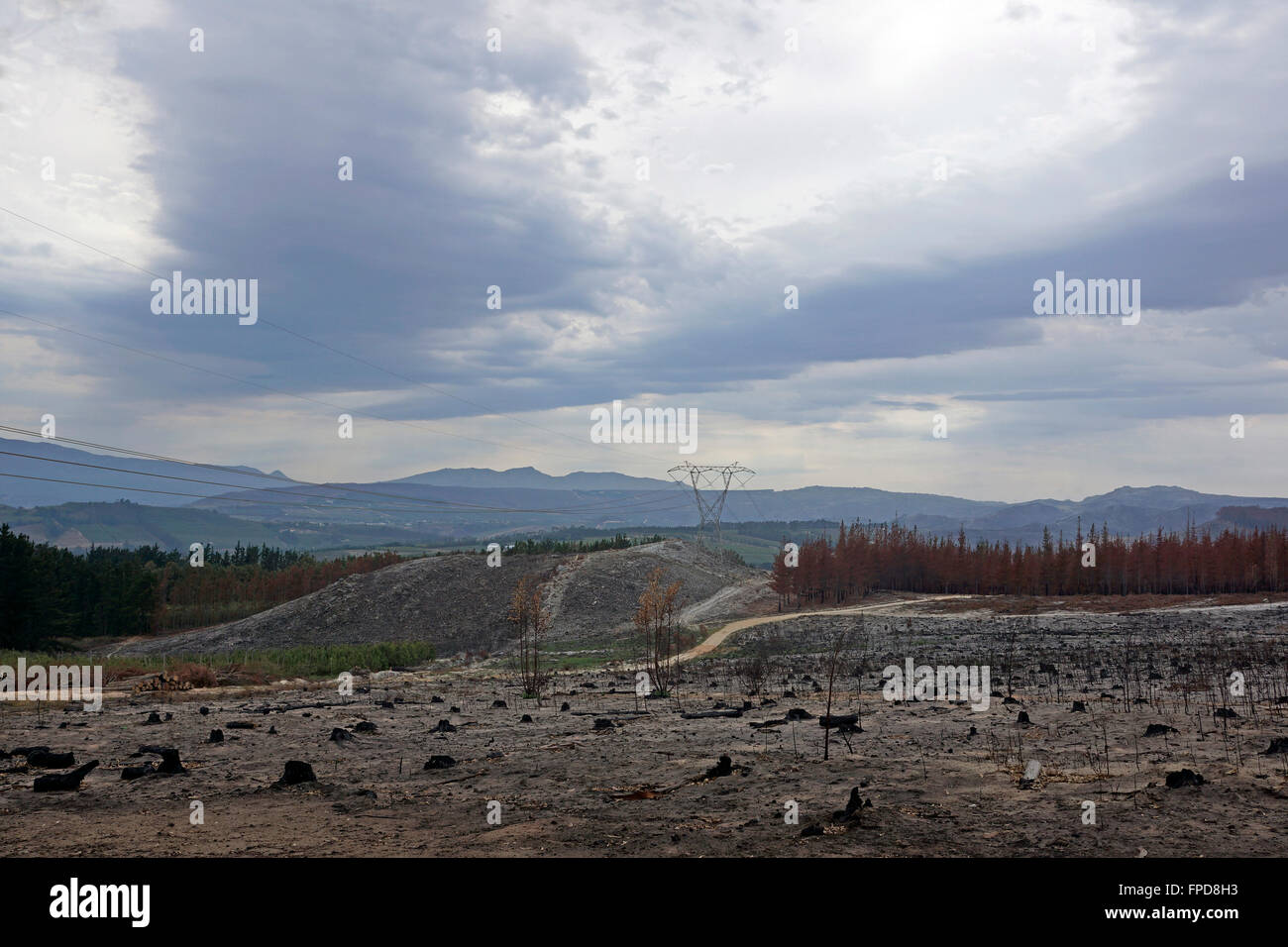 Veld fire hi-res stock photography and images - Alamy